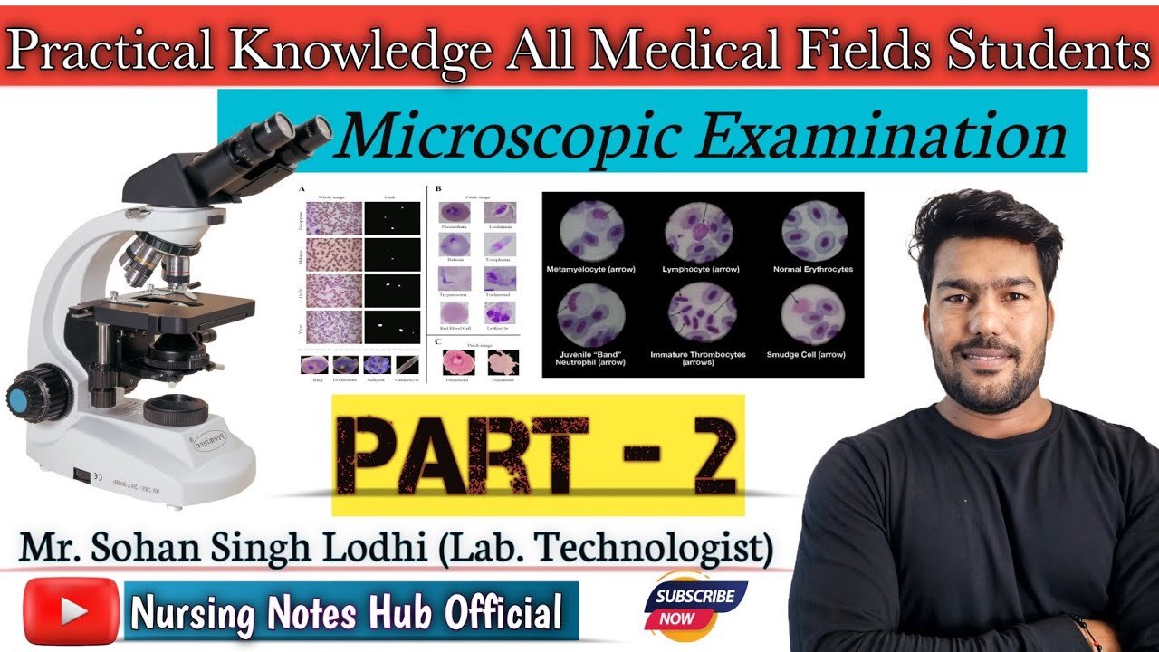Microscopic Examination- Peripheral Blood Smear Examination In ...