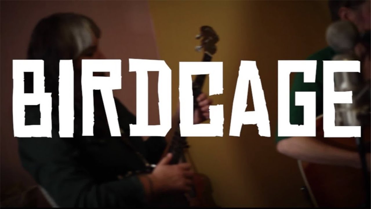 The Hackles - Birdcage (Live) - YouTube