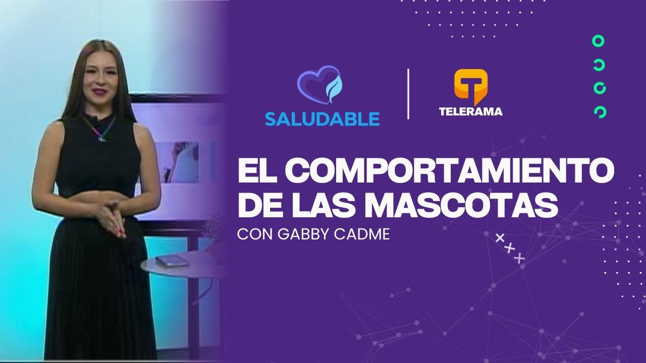 Saludable Pets: El comportamiento de las Mascotas - YouTube