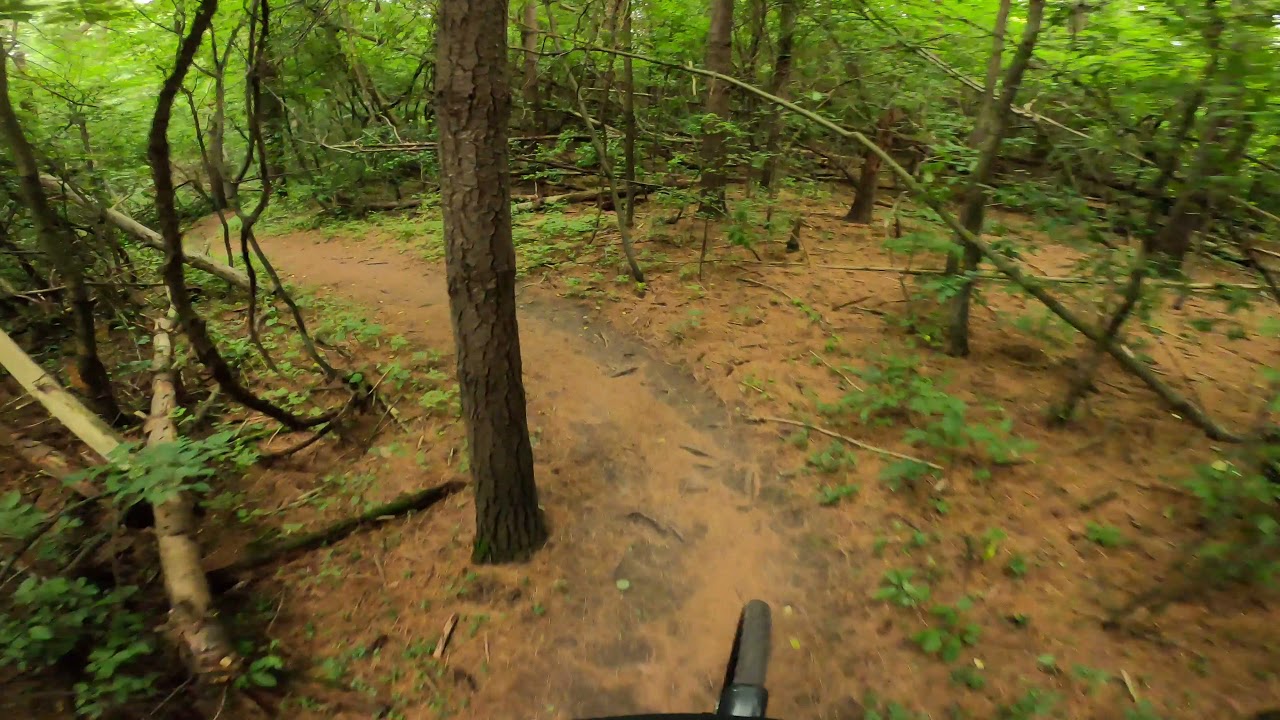 Upper Jurassic | Guelph Lake GORBA Trails | MTB - YouTube