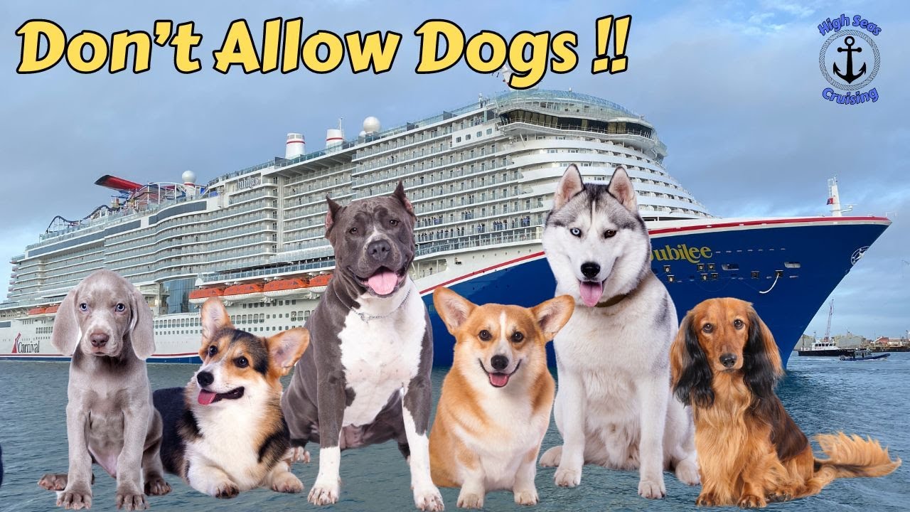 Cruise Passenger Mad About Dogs On Cruise Ships - YouTube