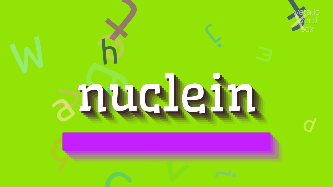 How to say "nuclein"! (High Quality Voices) - YouTube