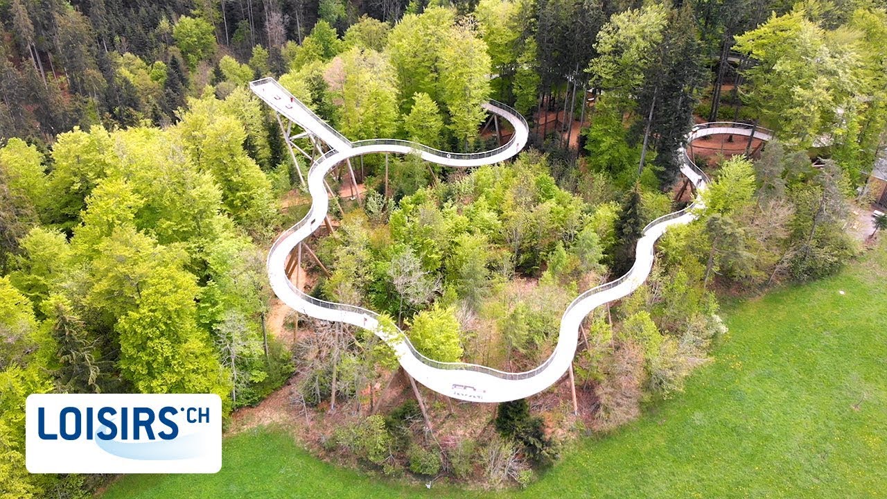 Sentier de la canopée - Balade à la cime des arbres - YouTube