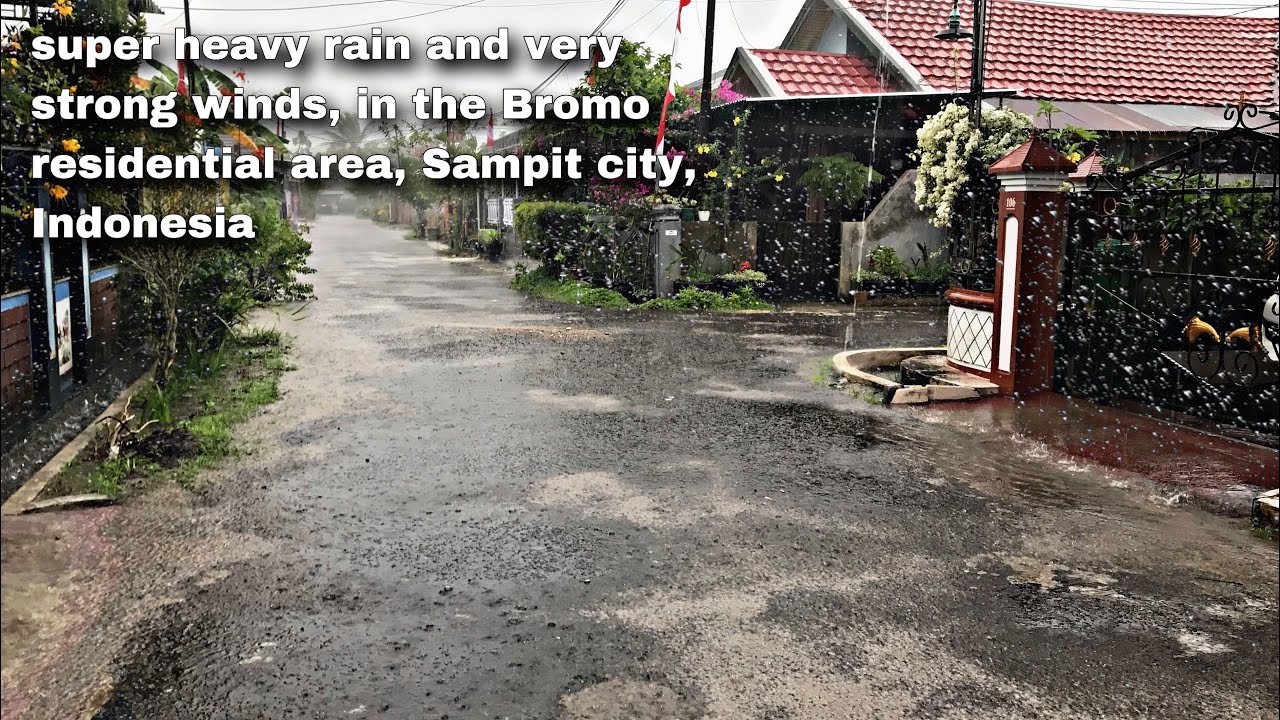 keep walking in the rain even though your heart is not fine (ASMR Rain ...