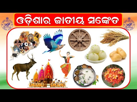 State Symbols of Odisha |National symbols of india gk questions in odia ...