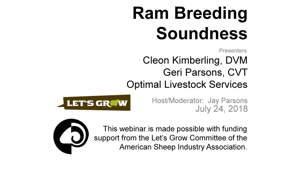 Ram Breeding Soundness (24) - YouTube