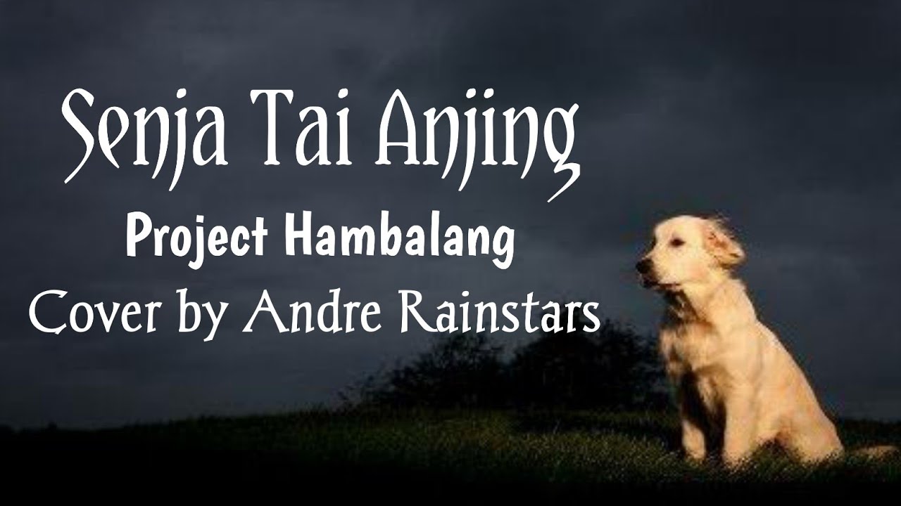 SENJA TAI ANJING | Project Hambalang | cover by Andre Rainstars - YouTube