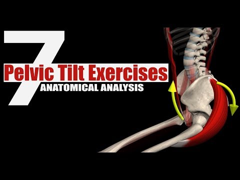 7 Pelvic Tilt Exercises | Anatomical Analysis - YouTube