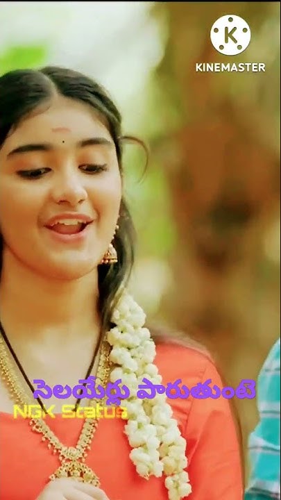 Selayeru Paruthunte o pilla song WhatsApp Status - YouTube
