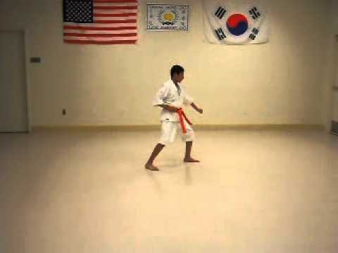Twin Dragon Tang Soo Do Form 1-White Belt.AVI - YouTube