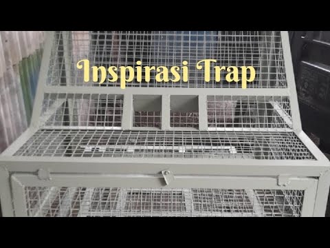 Model Pintu Trap Sputnik || Door Trap Model @SaykochiTV - YouTube