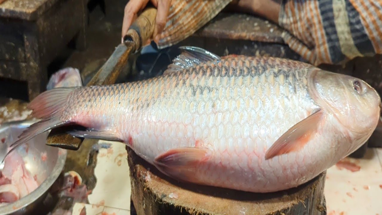 Amazing Pangas Fish Cutting & Skinning Skills In Bangladesh Fish Market ...