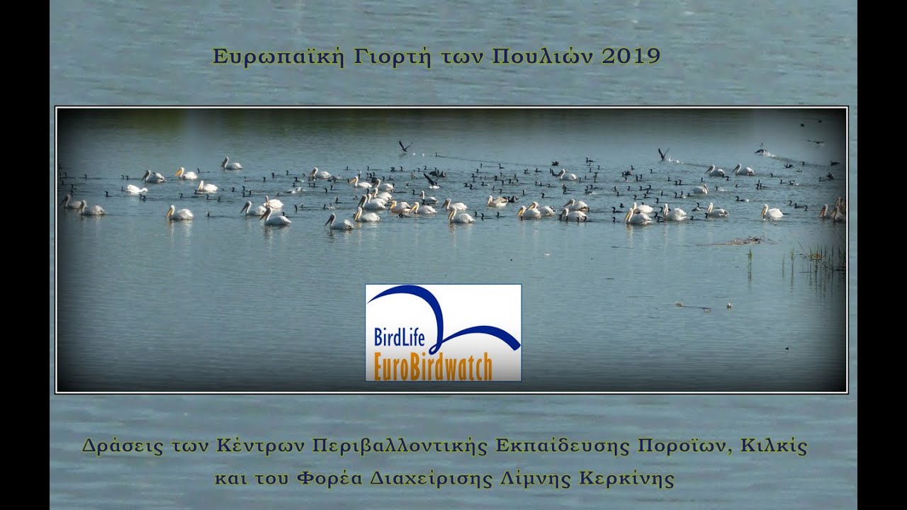 Ευρωπαϊκή Γιορτή των Πουλιών 2019 - YouTube