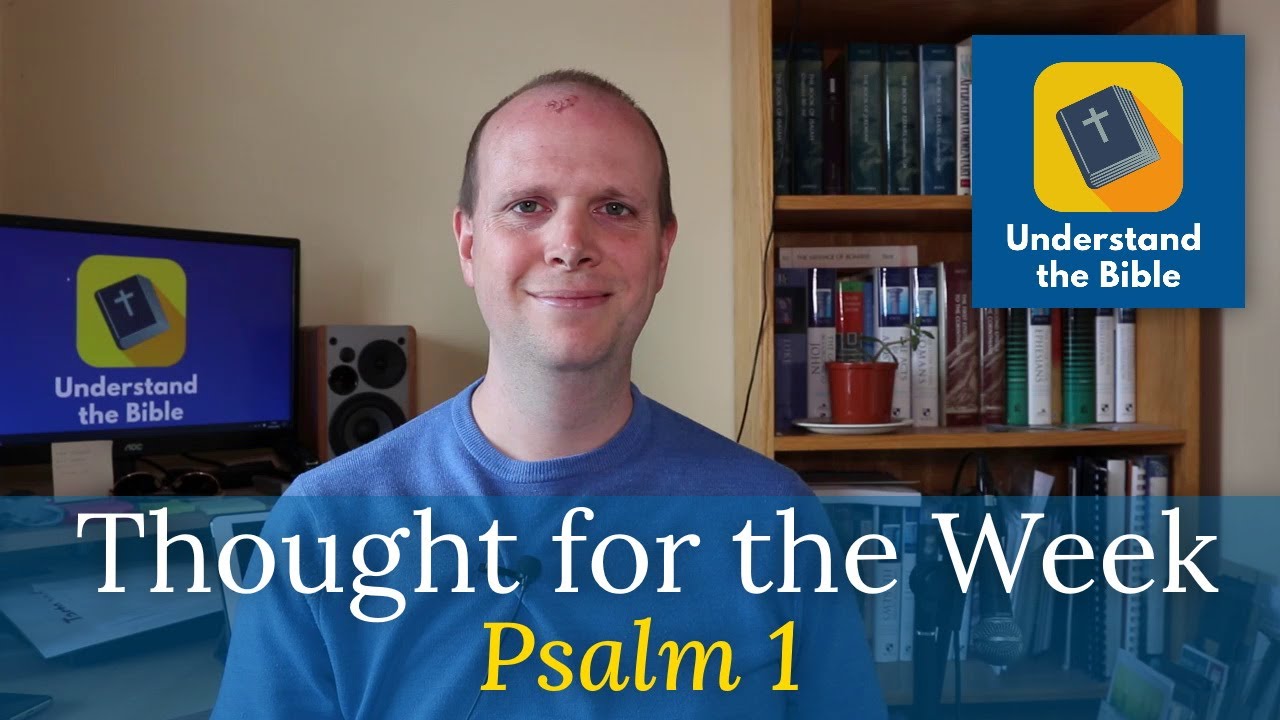 Reflection: Psalm 1 | The difference between the righteous and the ...