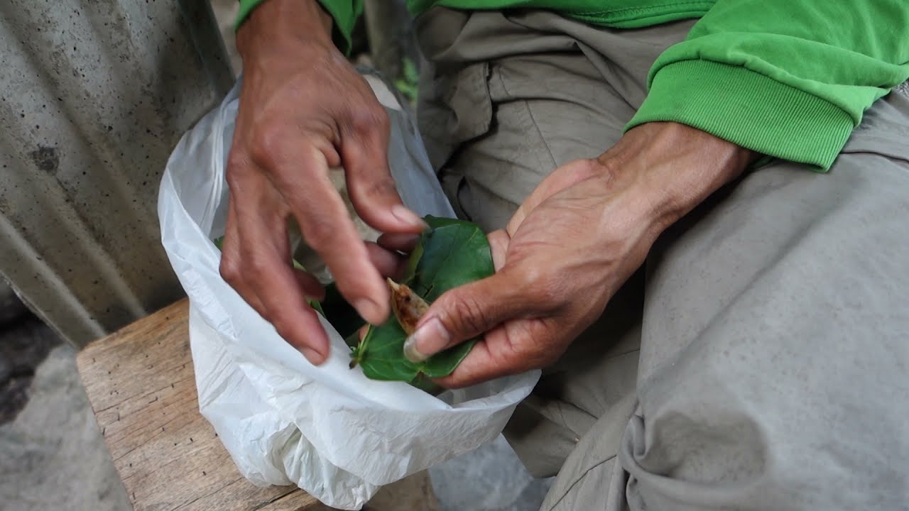 Philippines - Batad - how to prepare betel nut for chewing - YouTube