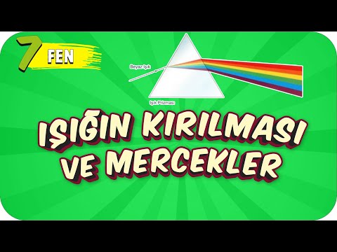 7. Sınıf Fen: Işığın Kırılması ve Mercekler #2022