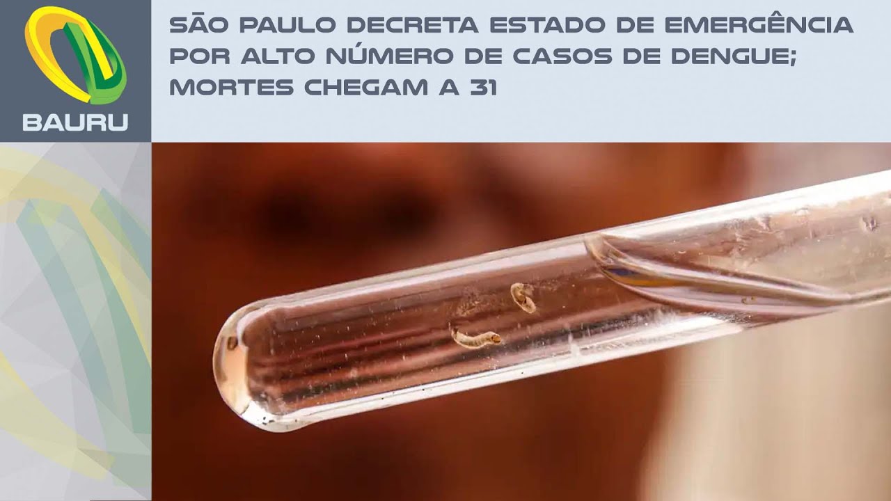 São Paulo decreta estado de emergência por alto número de casos de ...