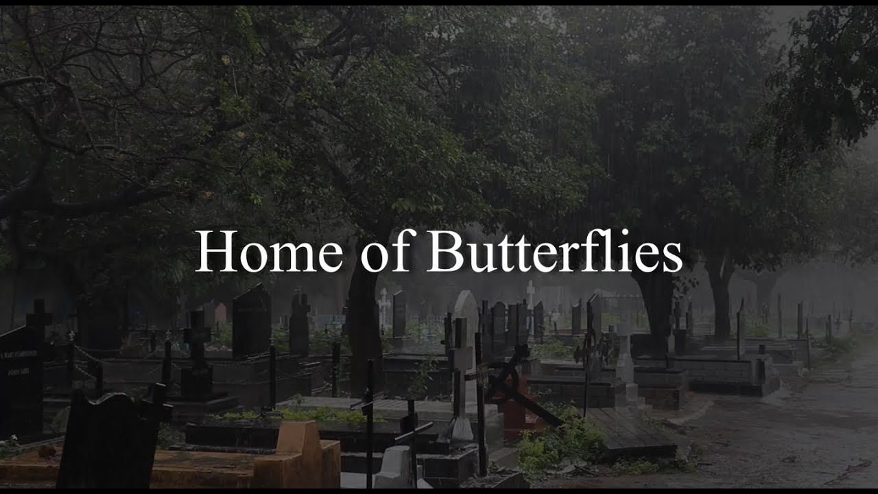 Home Of Butterflies - YouTube