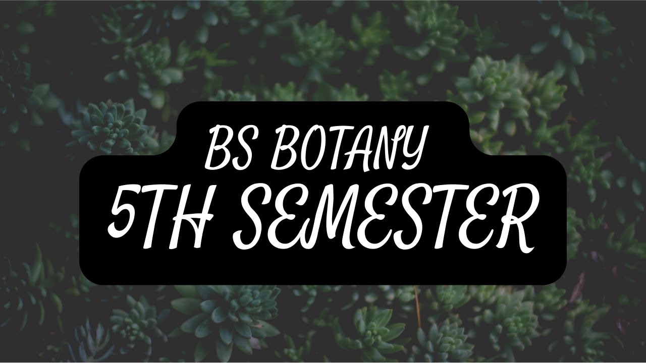 BS BOTANY CONTENT LIST OF ALL SUBJECTS - YouTube