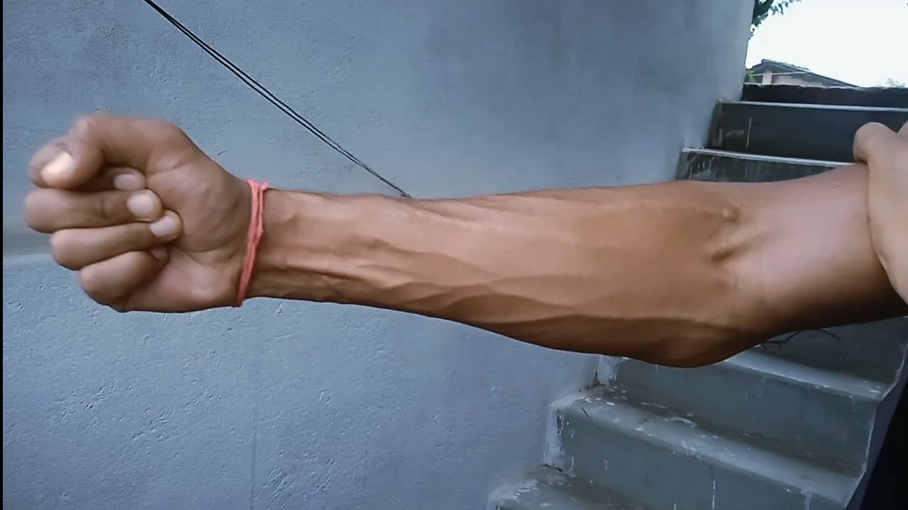 30 day forearms training challenge | arm training with hand gripper # ...