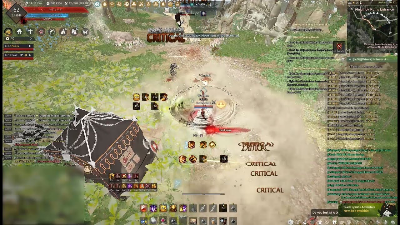 Awakening/Succession Hashashin BDO (SEA Server) Montage - YouTube