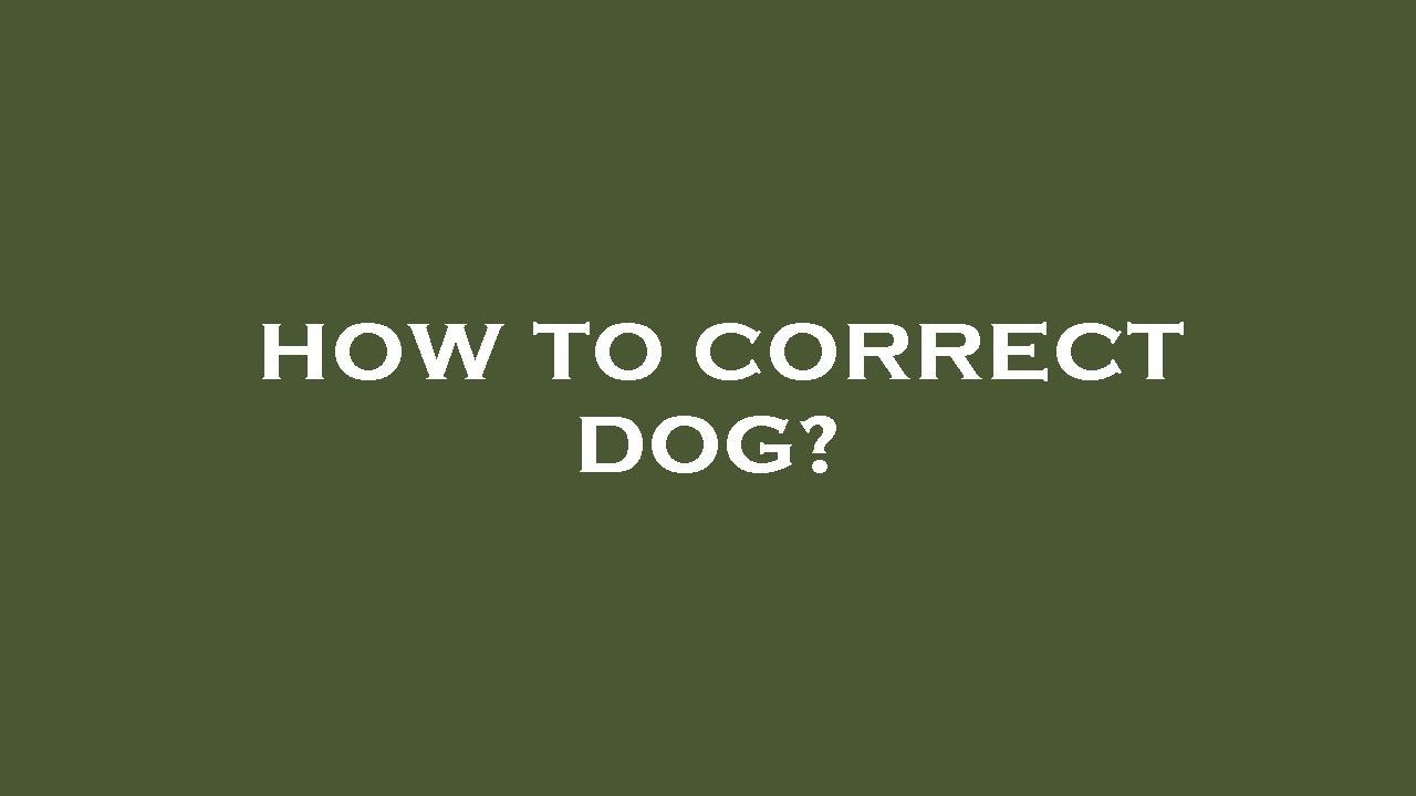How to correct dog? - YouTube