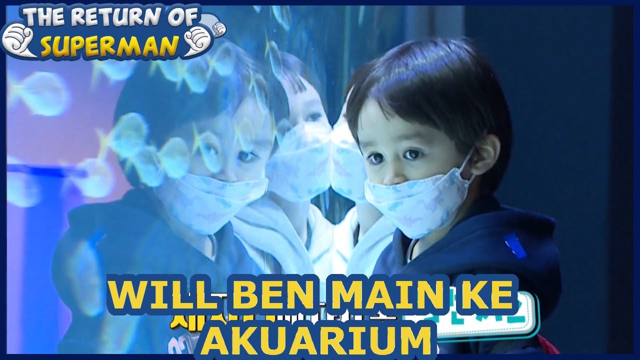 Will Ben Main Ke Akuarium |The Return of Superman |SUB INDO|210418 ...