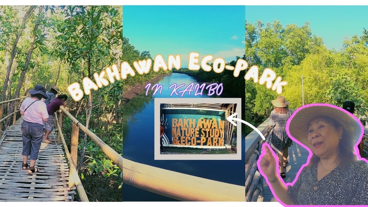 Bakhawan Eco-Park in Kalibo 😍 -a day in aklan Vlog 243 - YouTube