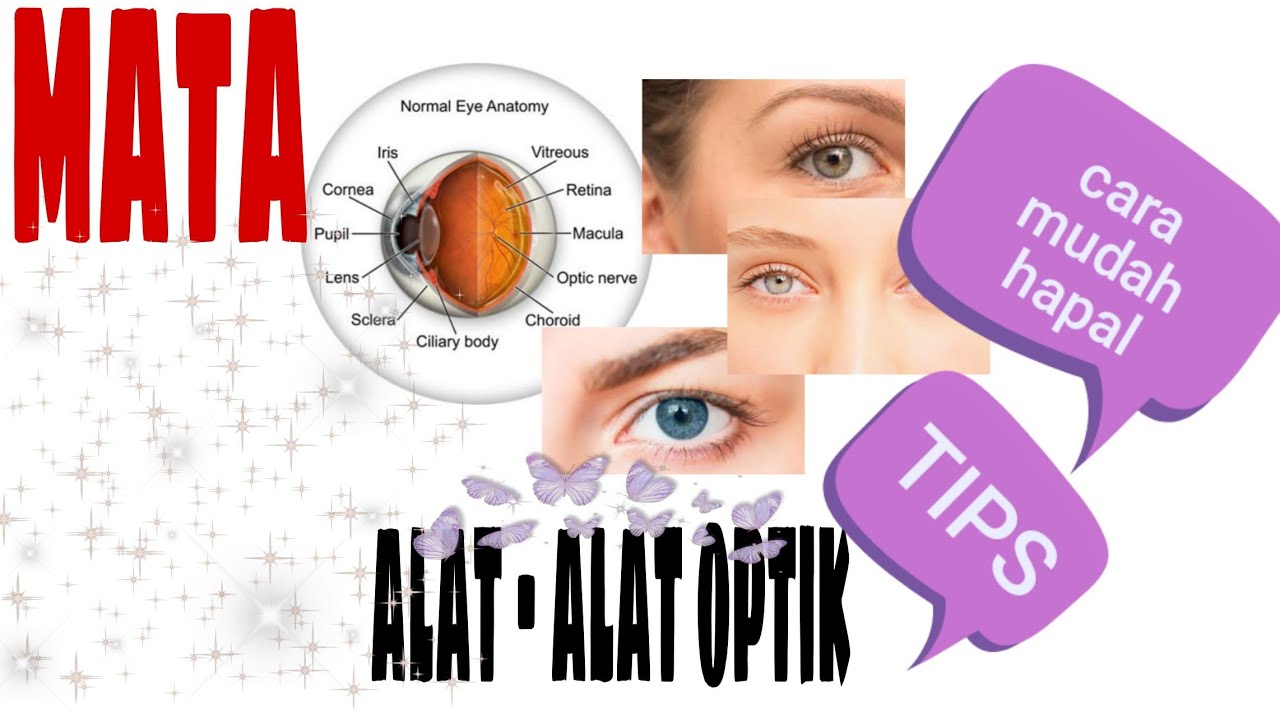 ALAT - ALAT OPTIK|| MATA || MATERI FISIKA KELAS XI SMA - YouTube