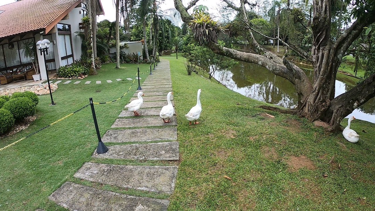 PARQUE DE FRANCE - JOINVILLE - SC - YouTube