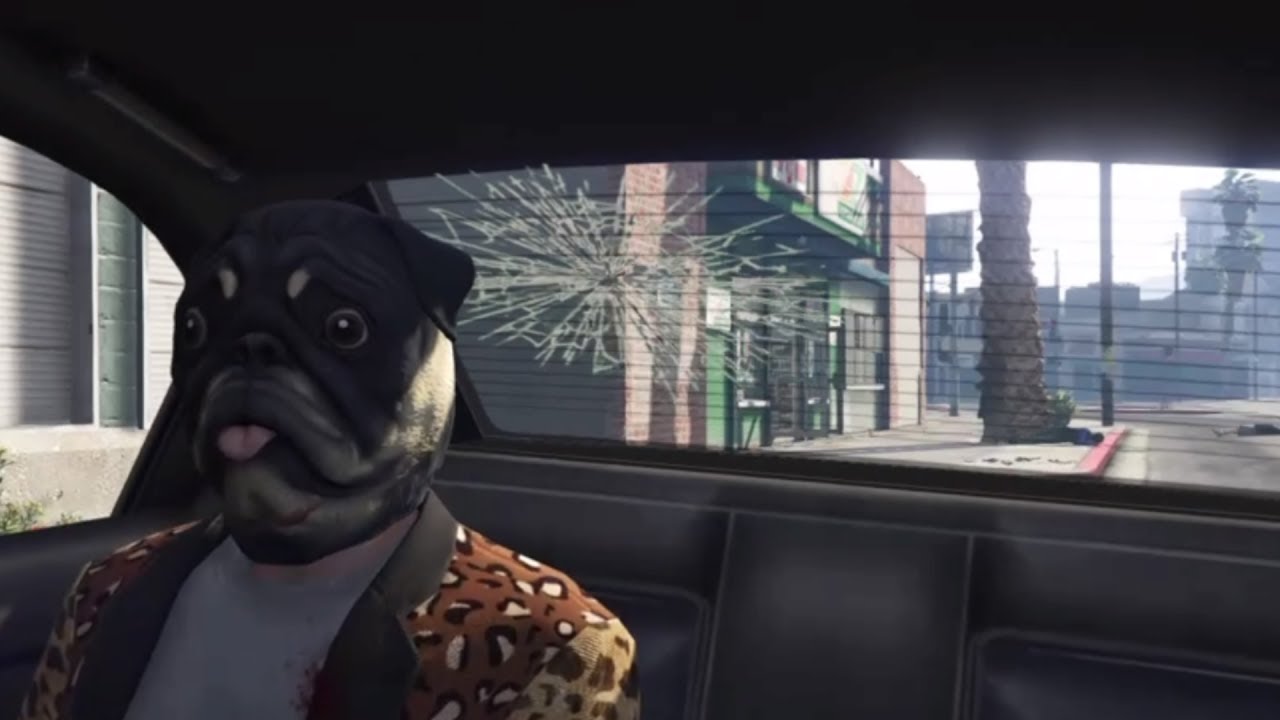 (Grand theft auto 5) The adventures of the pug bros and funny moments ...