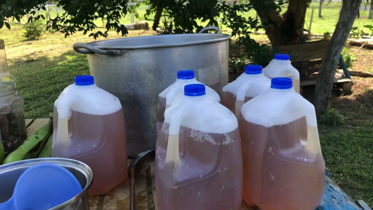 HACIENDO MAVI ESTO ES PUERTO RICO - YouTube