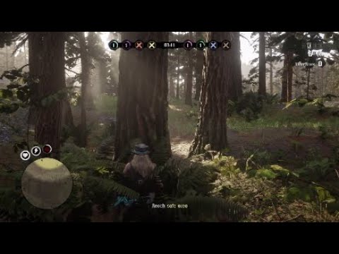 Red Dead Redemption 2* Tall Trees_5 Kills_Level 103 - YouTube