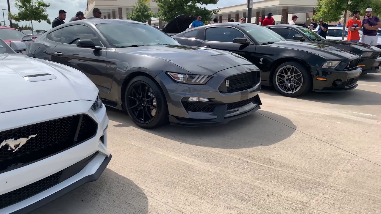 2019 Mustangs Of Houston Galveston Cruise - YouTube