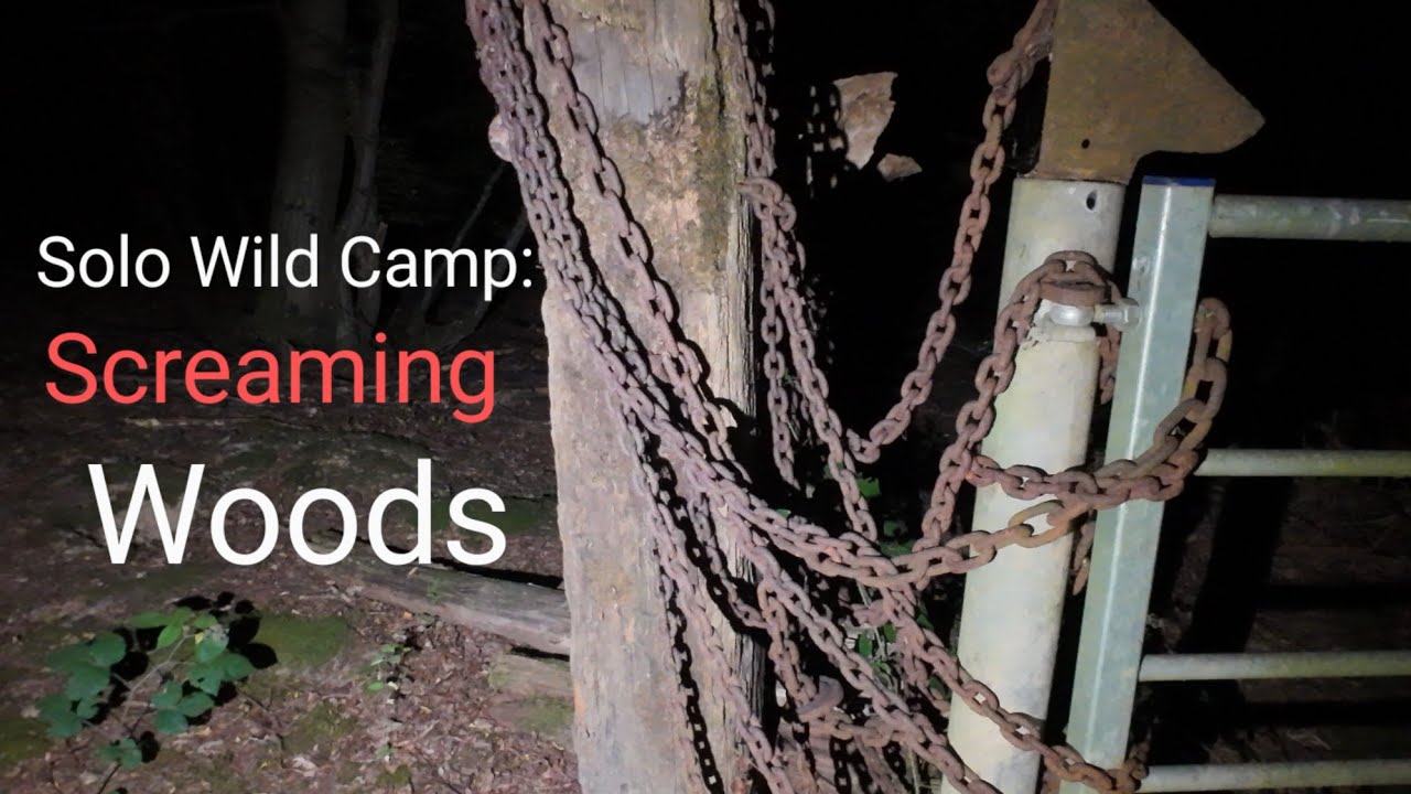 Dogman Lurk! Overnight in the Screaming Wood (Solo Camp & Hike) - YouTube