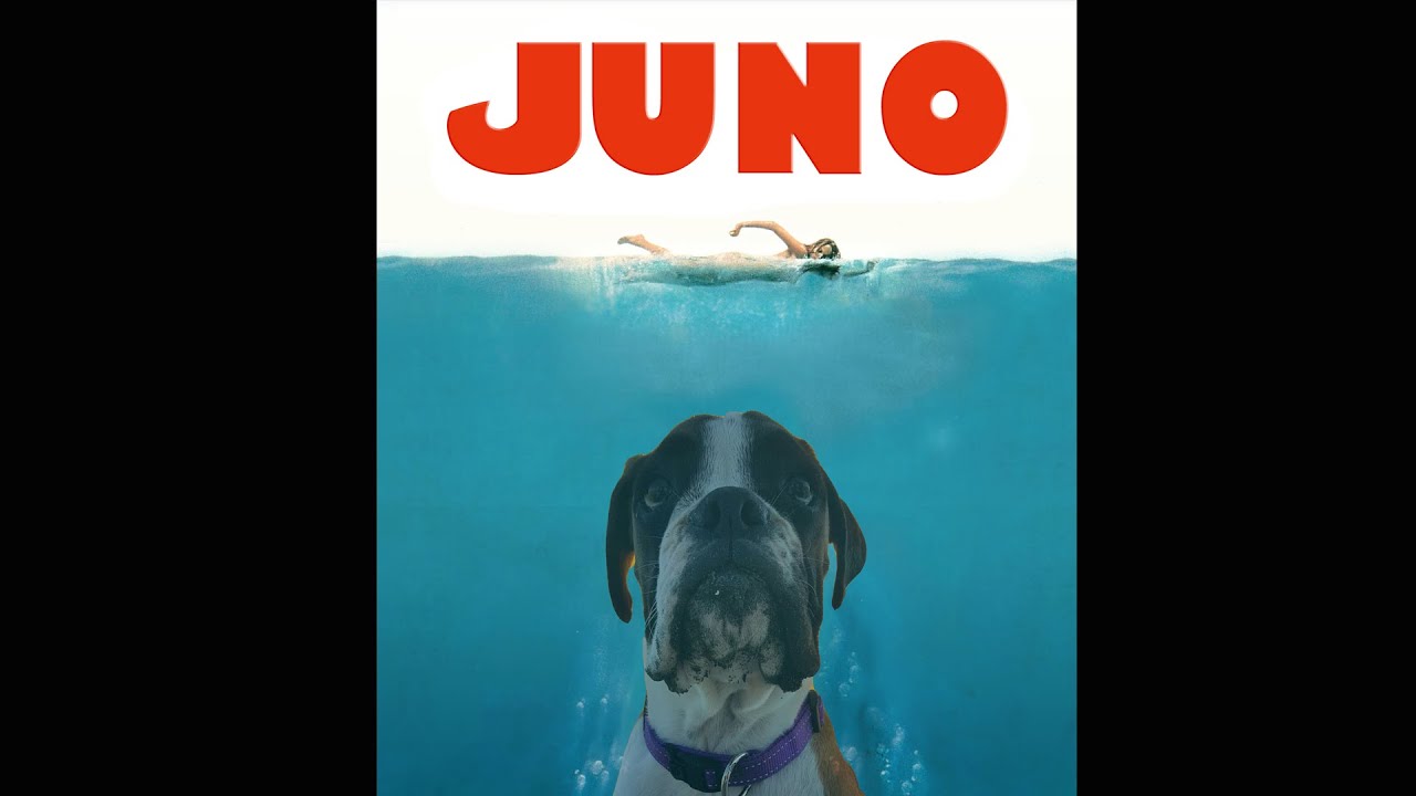 JUNO, the boxer puppy learns to swim and enjoys her summer days in the ...