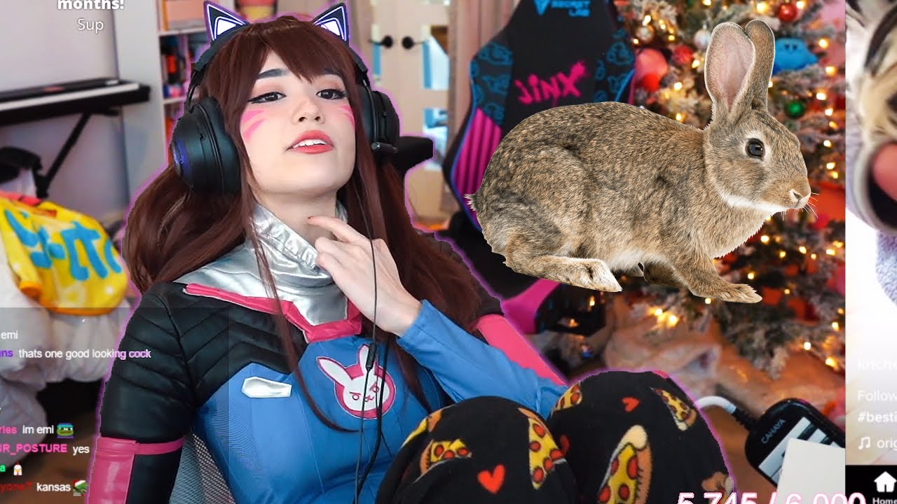 Emiru used to Smuggle Rabbits - YouTube