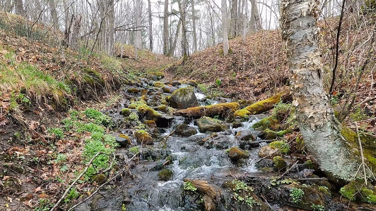 Ice Age National Scenic Trail (St. Croix Segment) - Lion's Park to ...