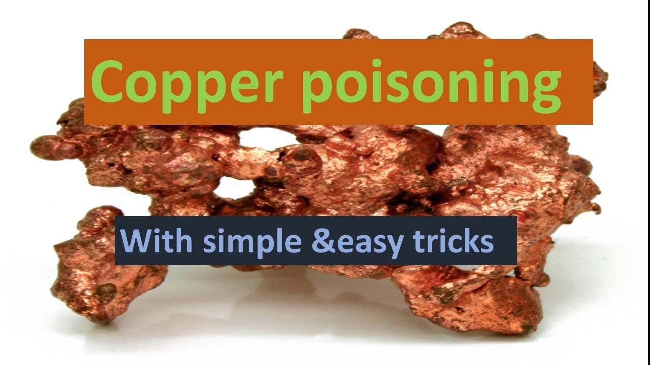 Copper poisoning||ताम्र विषक्ता|| metallic poisoning||agadtantra syll ...