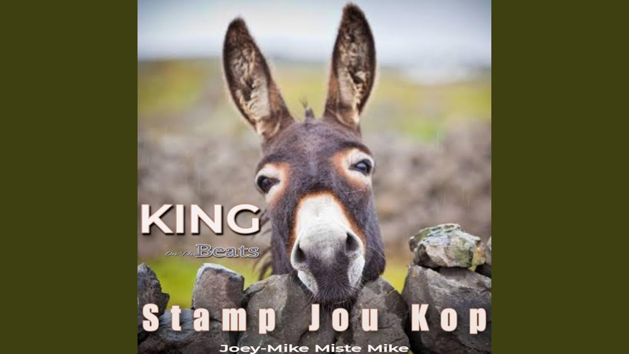 Stamp Jou Kop (Probleme in My Lewe) (feat. Joey-Mike Miste Mike ...