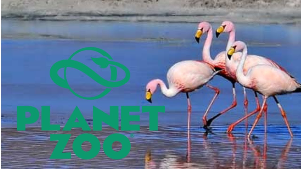 James's Flamingo Habitat Speed build: Planet Zoo - YouTube