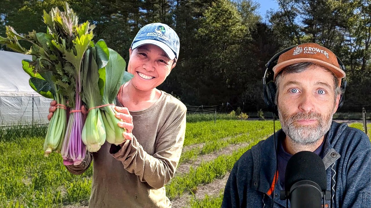 How Farming In Japan Compares to the US + Using Salt Marsh Hay W ...