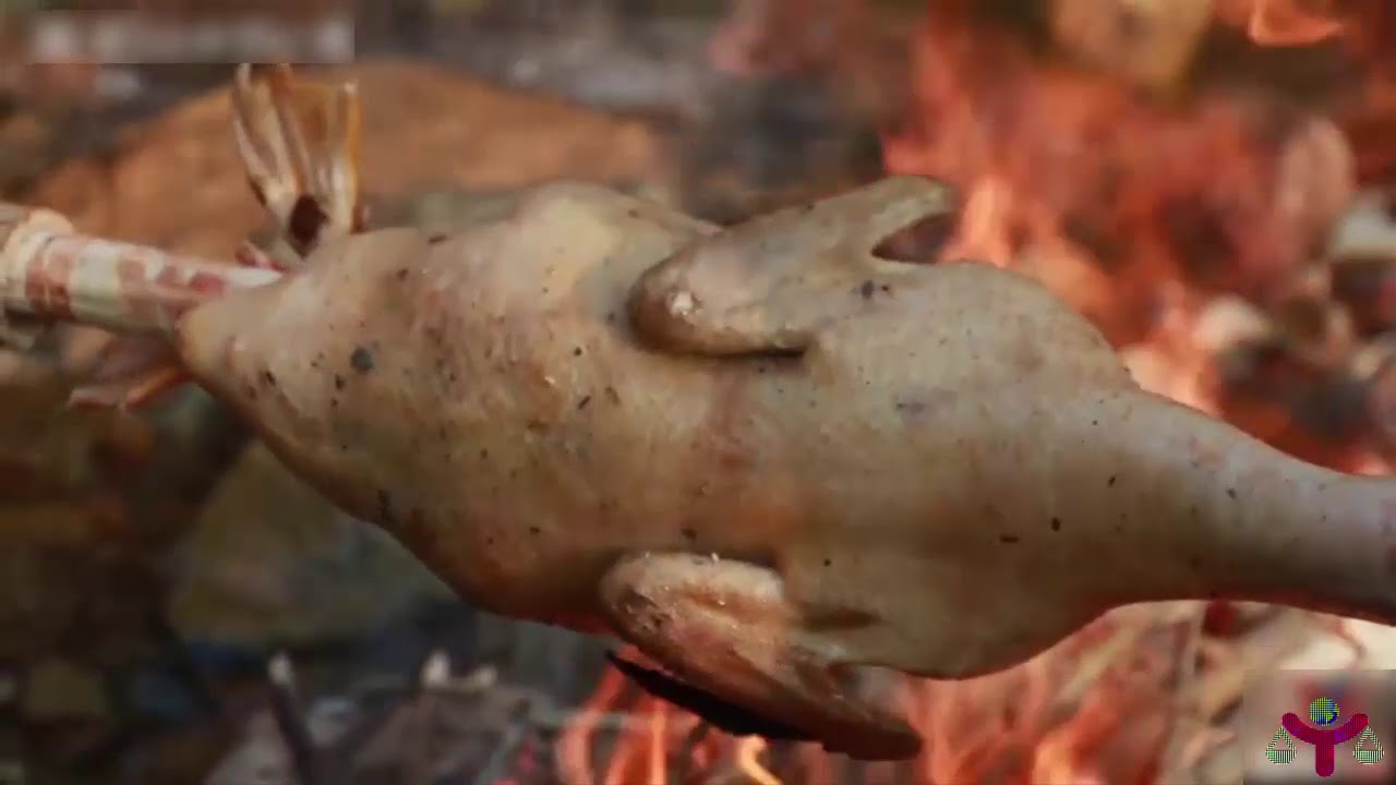 STREET FOOD CHICKEN | FOREST FOOD COOKING | CHICKEN GIRLS - YouTube