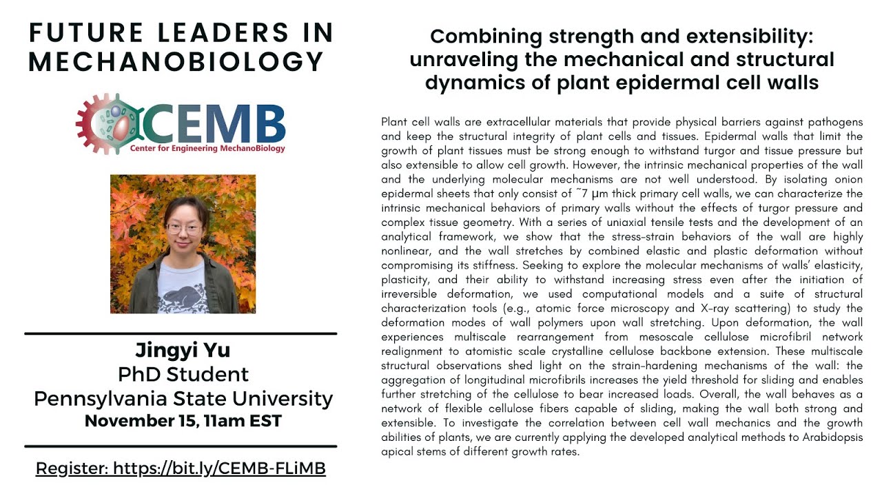 Future Leaders in Mechanobiology Seminar: Jingyi Yu - YouTube