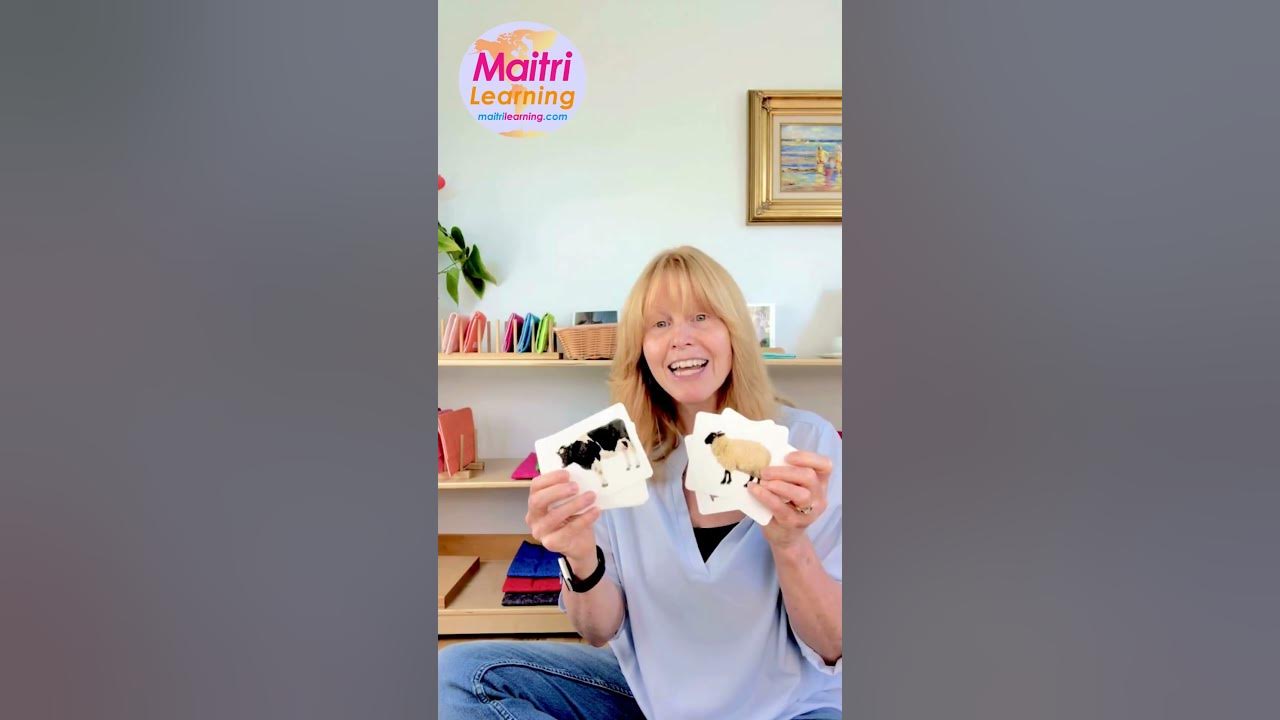 Reading comprehension, sorting, and gist - YouTube