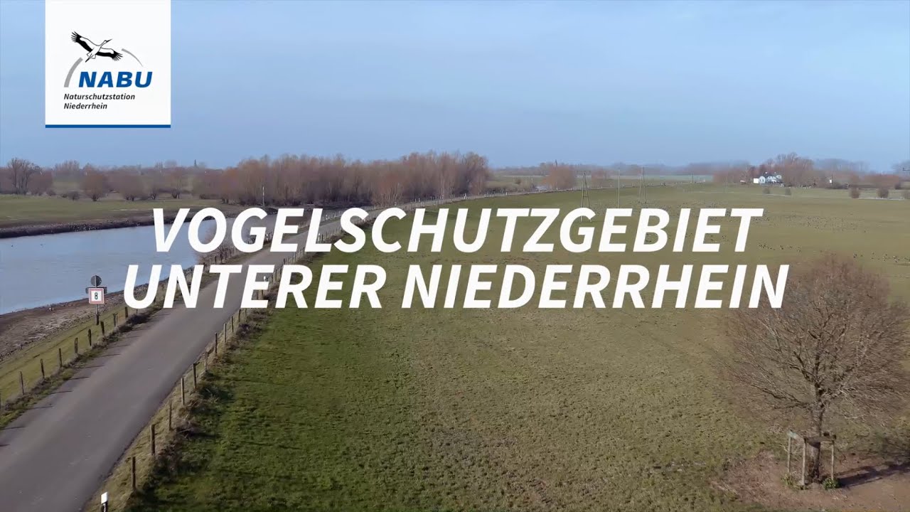 Vogelschutzgebiet Unterer Niederrhein - YouTube