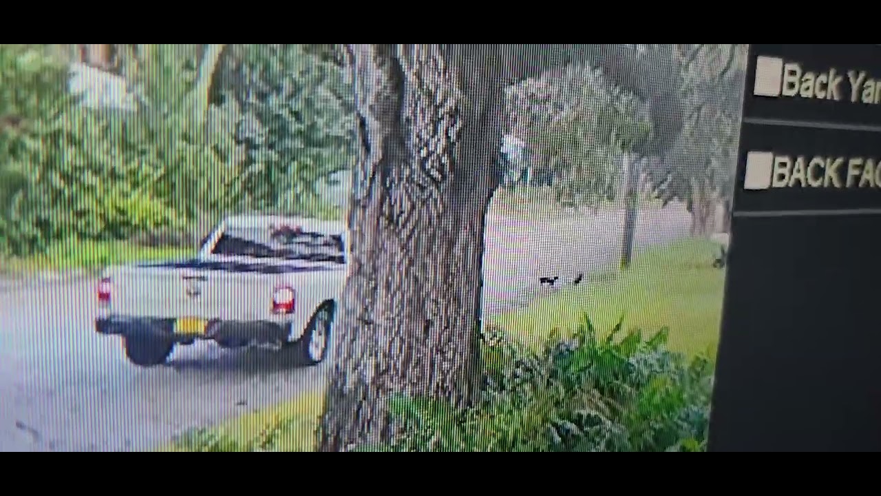 City of Ft. Pierce officials committing crimes - Code Enforcement ...