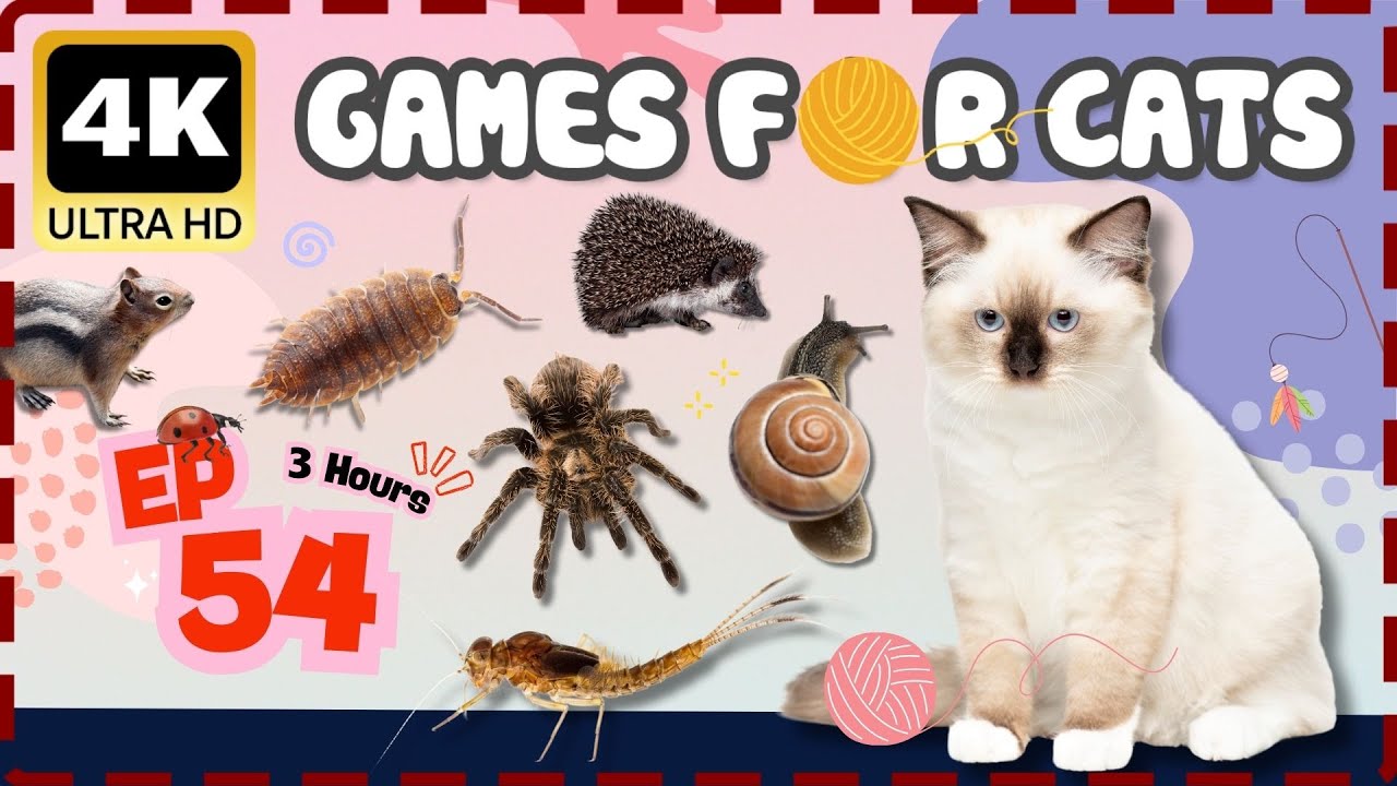 Cat Games Purple Meow | Ultimate Cat TV Compilation Vol 54 | 3 HOURS ...