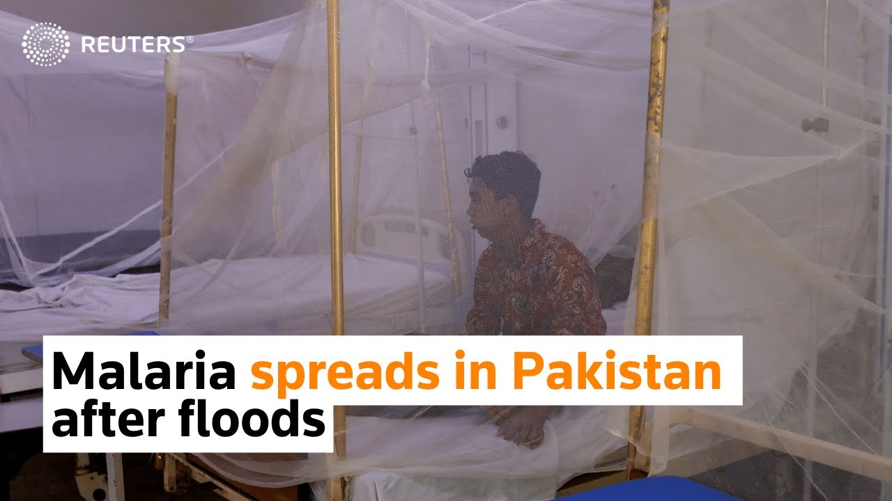Malaria spreads fast through flood-hit Pakistan - YouTube