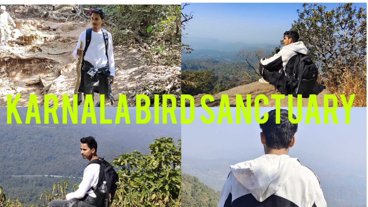 karnala bird sanctuary tour || karnala Trakking || Karnala Fort || Best ...
